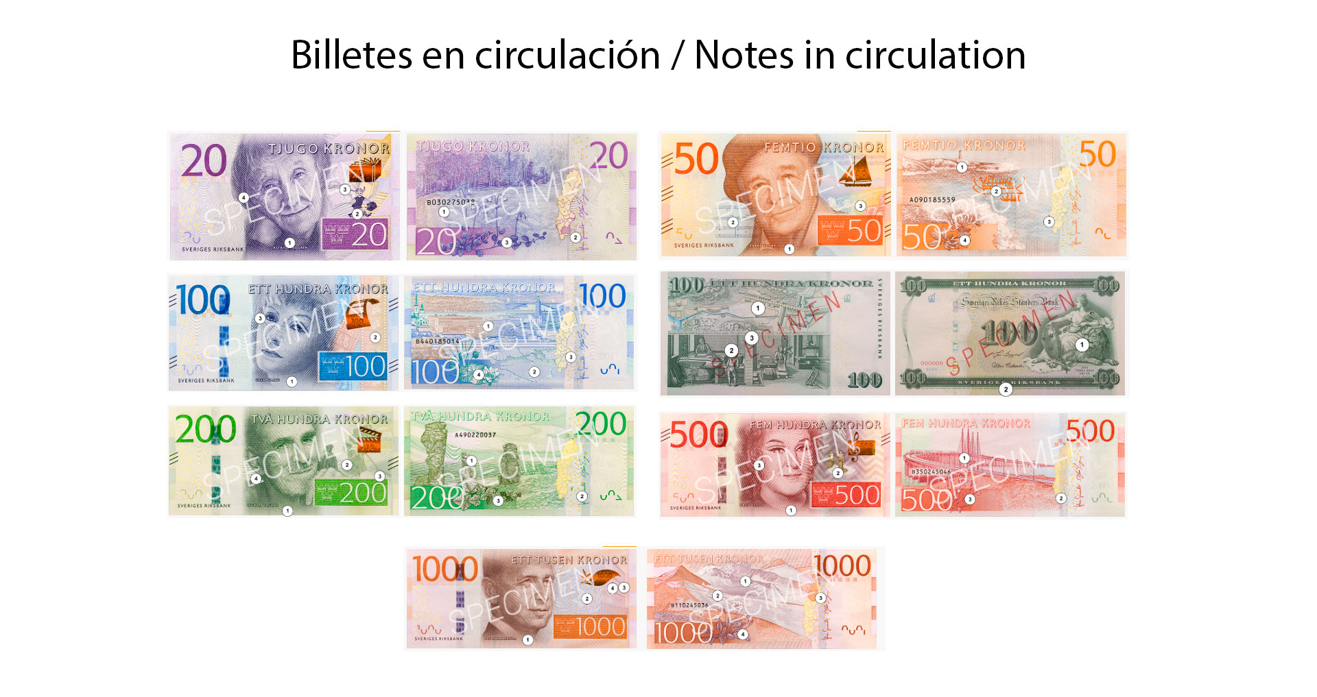 Swedish Krona SEK Exchange Rate Eurochange